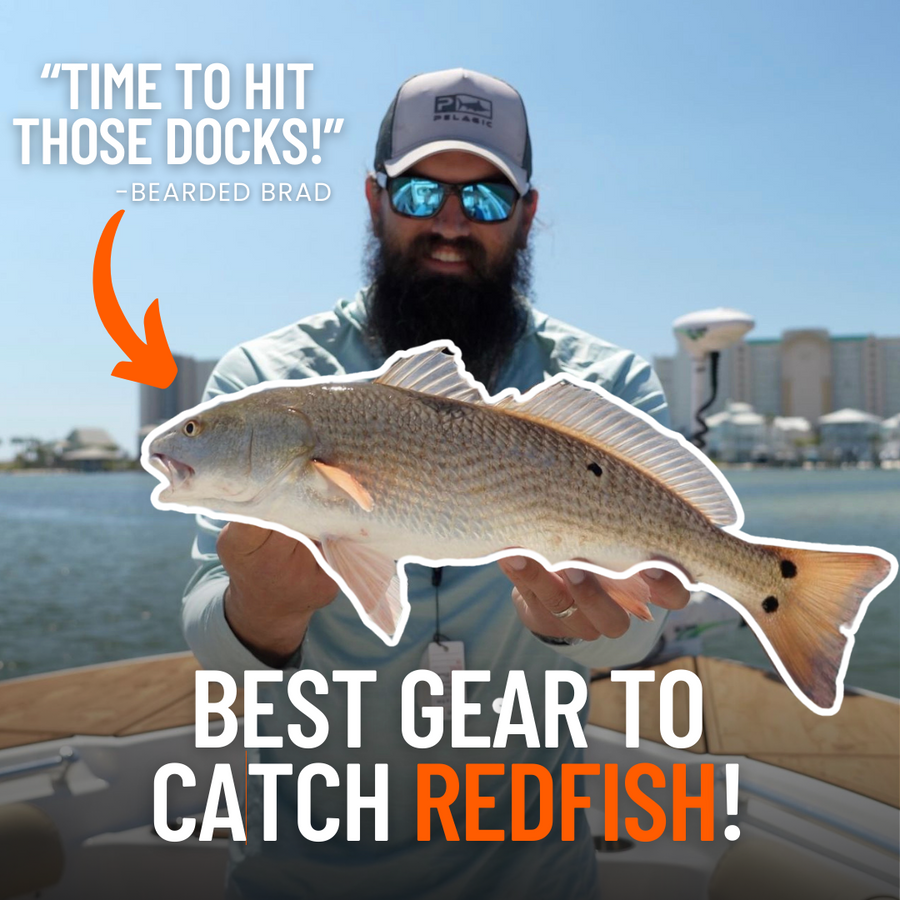 The Complete Guide to Saltwater Fishing Lines: Choosing the Right Type ...