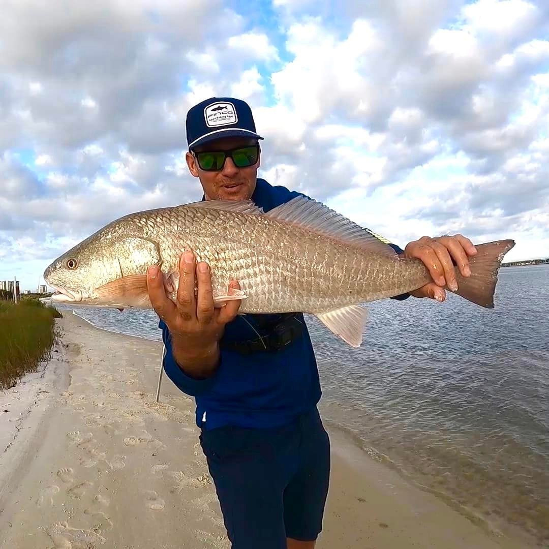 Redfish Tips: Rigs, Bait, and More – Beach Bum Outdoors