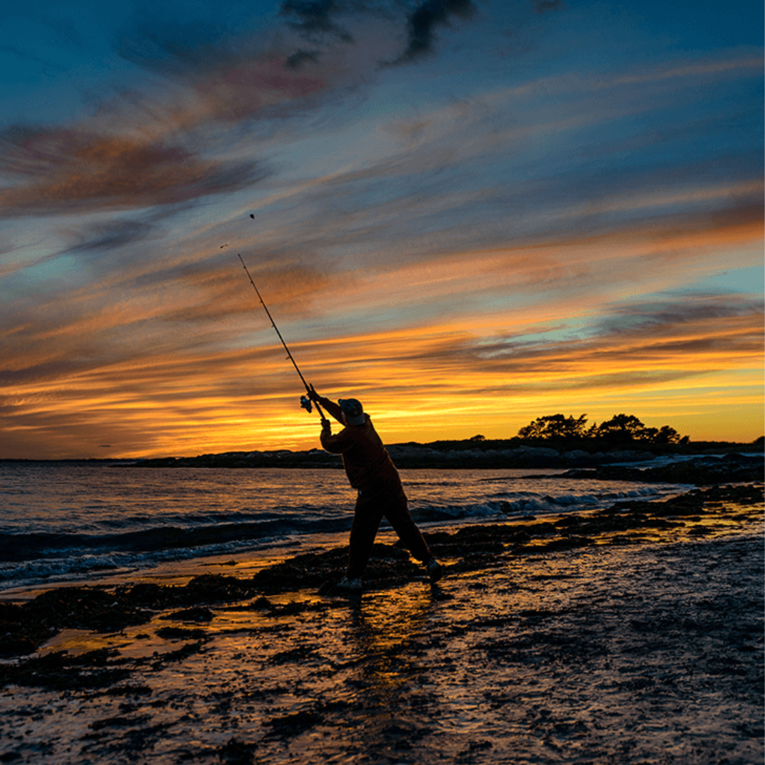 Surf Fishing 101: Tackle, Rigs, and Tips for Beginners – Beach Bum Outdoors