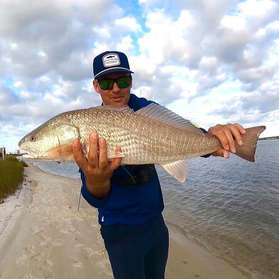 The Best Gear to Catch Beach Fish in the Fall – Beach Bum Outdoors